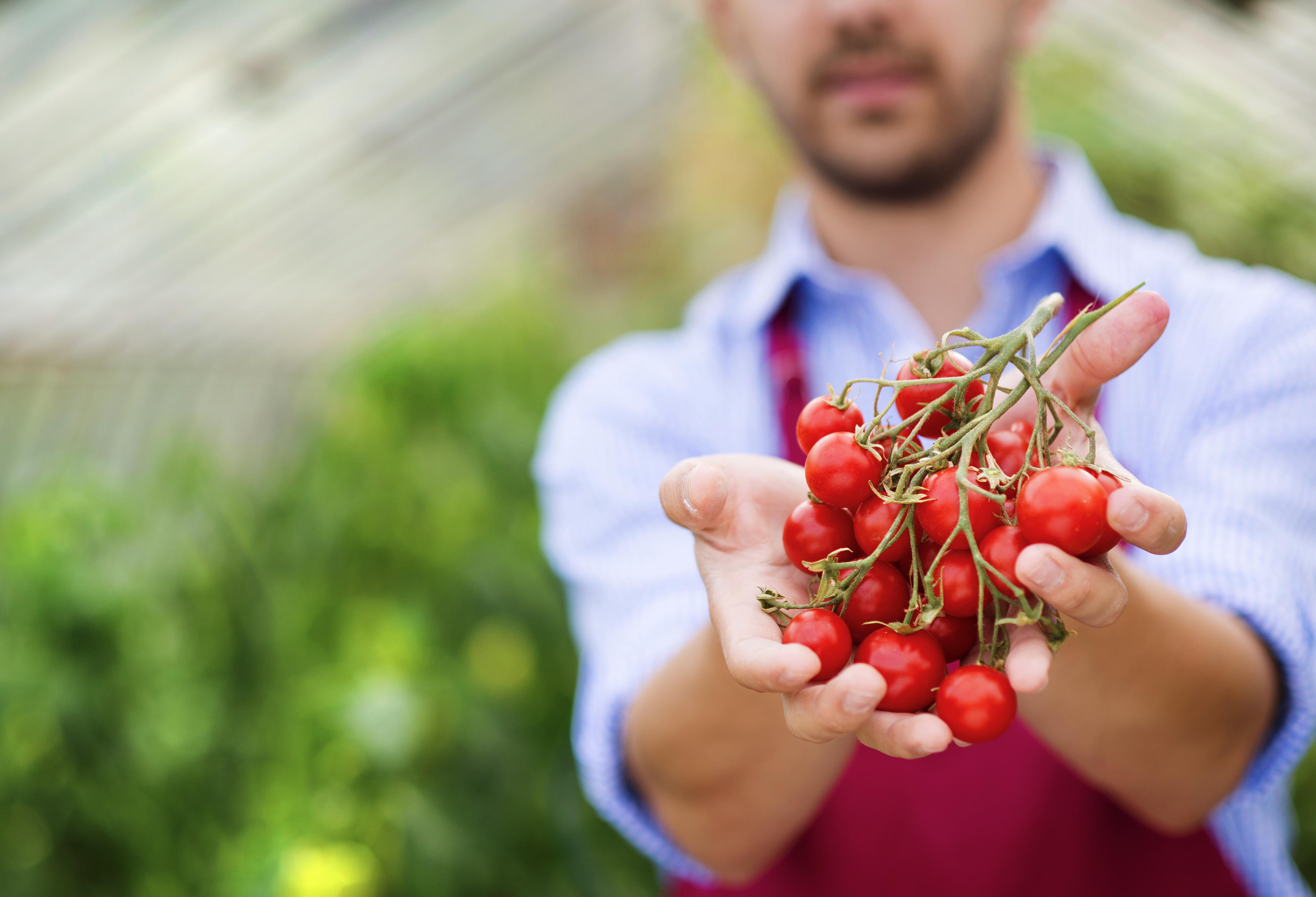 Only Organics - Preserve Life | Preserve Life