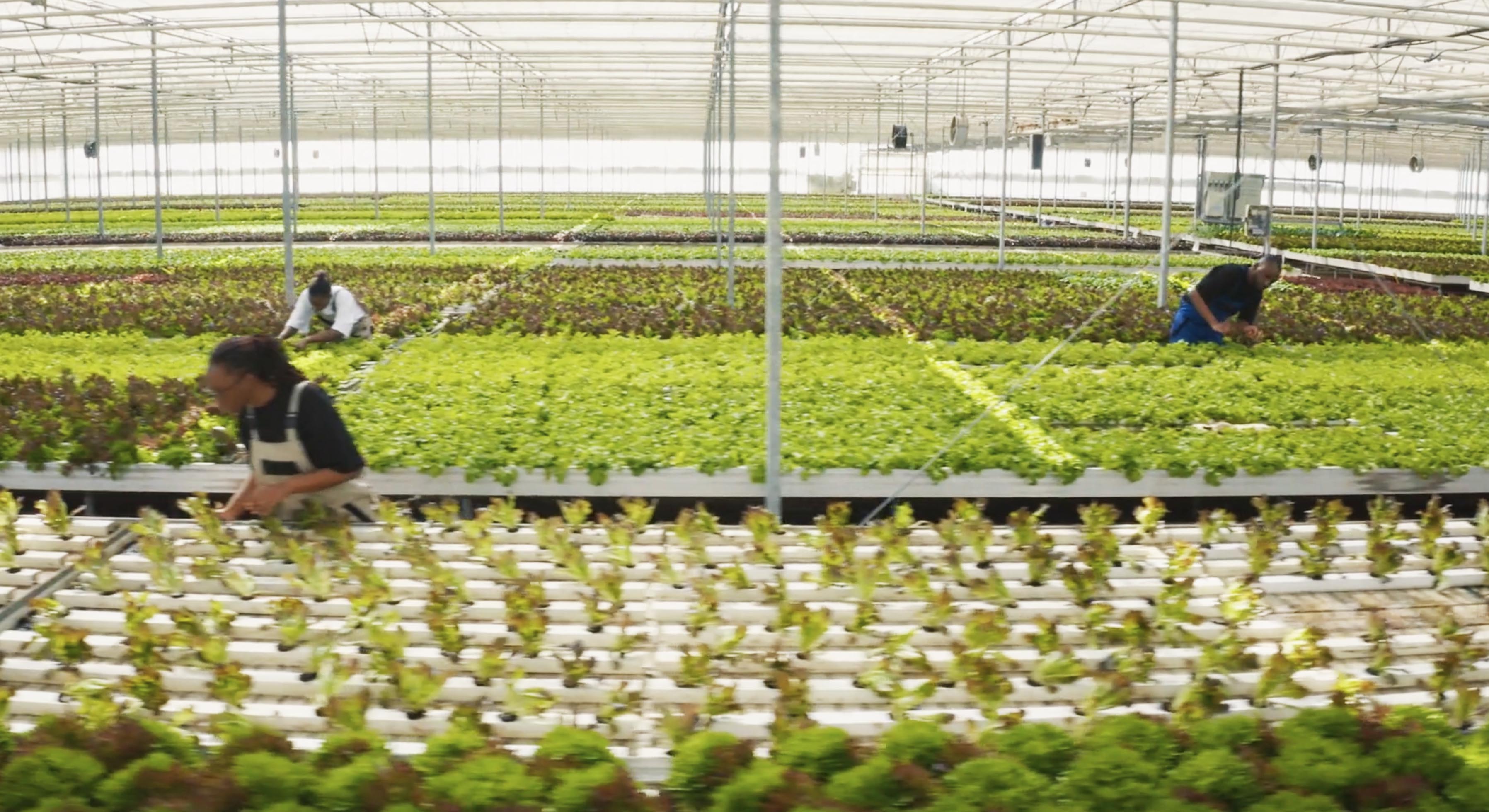 Only Organics - Preserve Life | Preserve Life