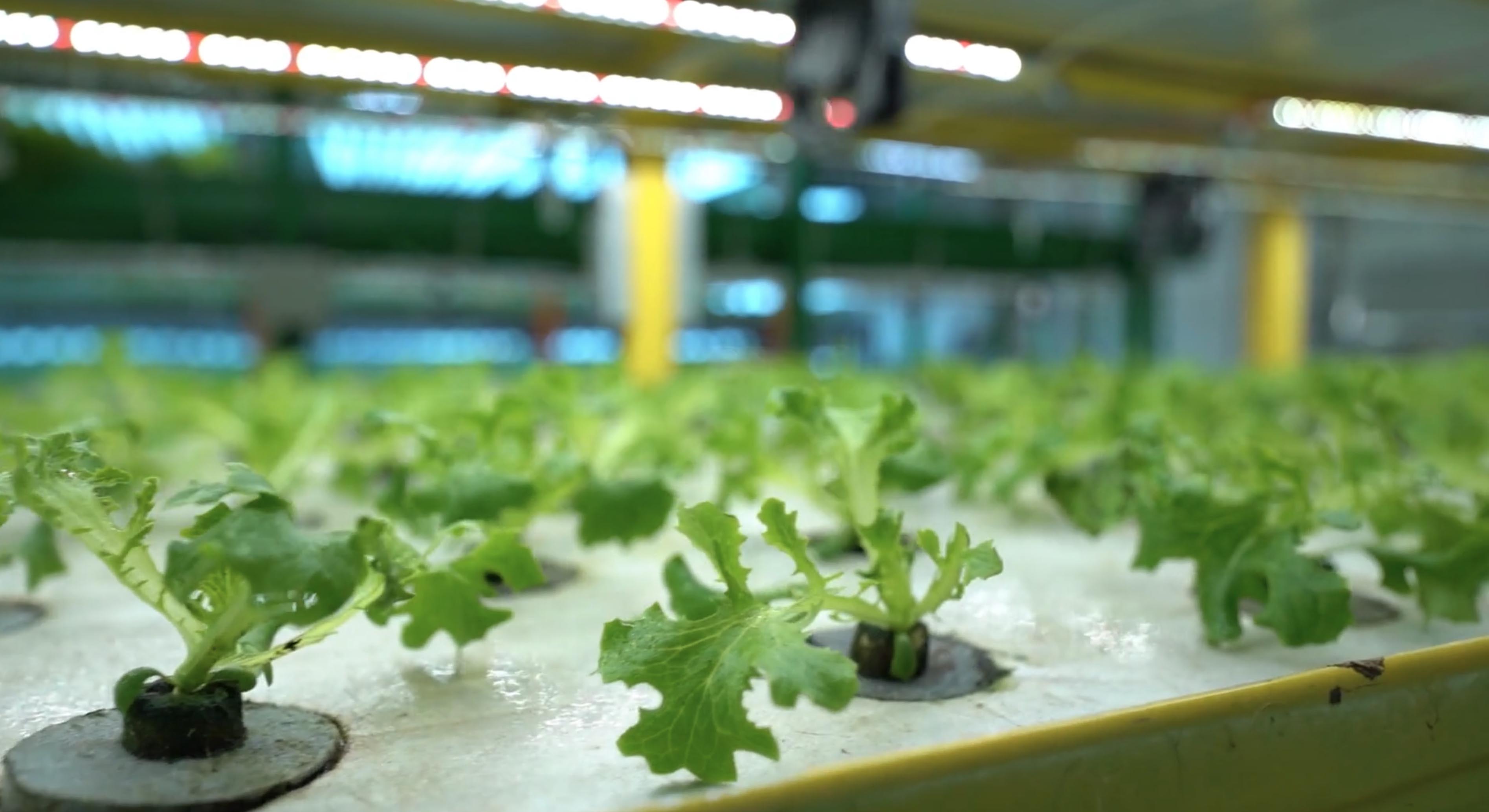 Only Organics - Preserve Life | Preserve Life