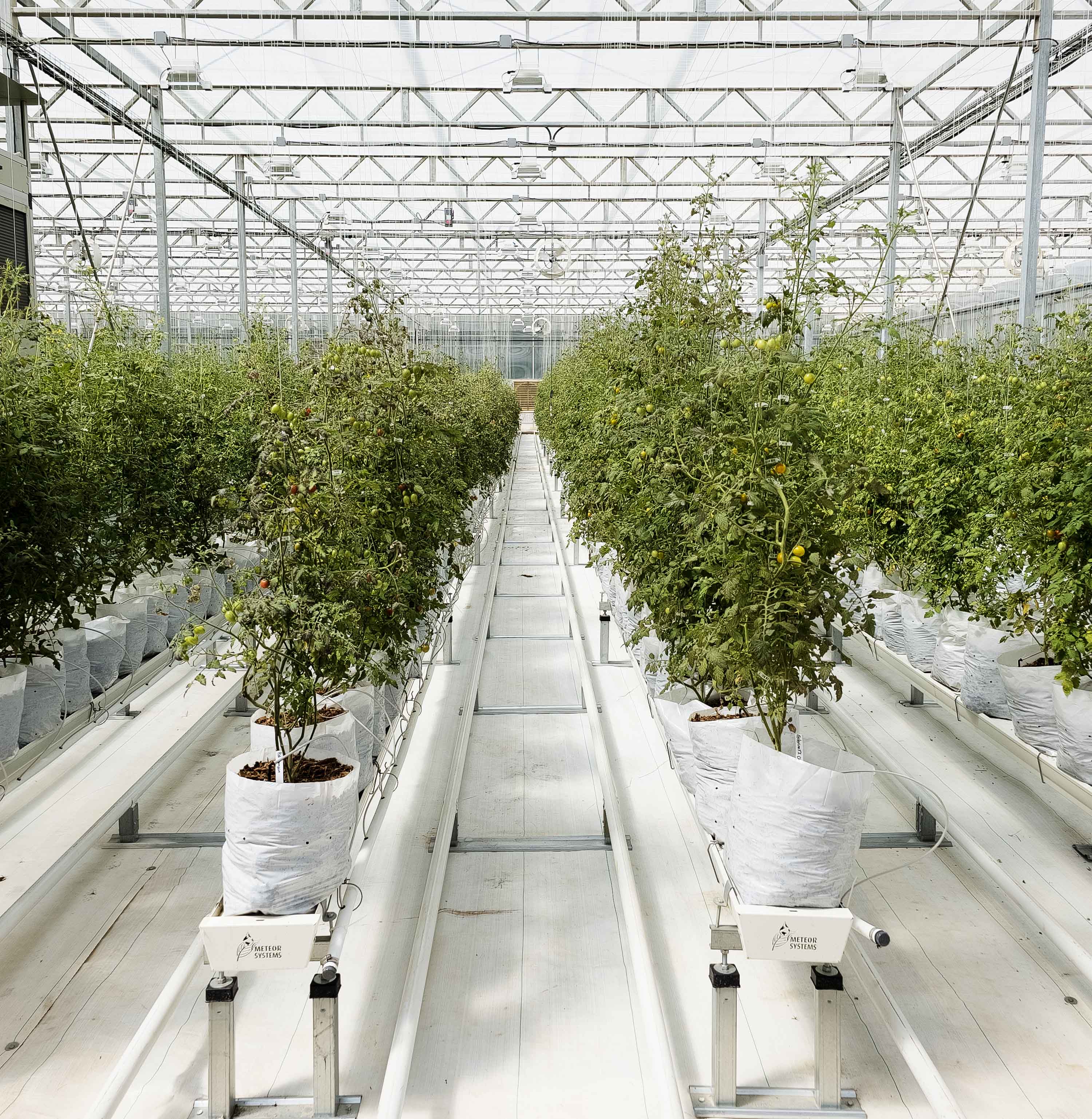 Only Organics - Preserve Life | Preserve Life