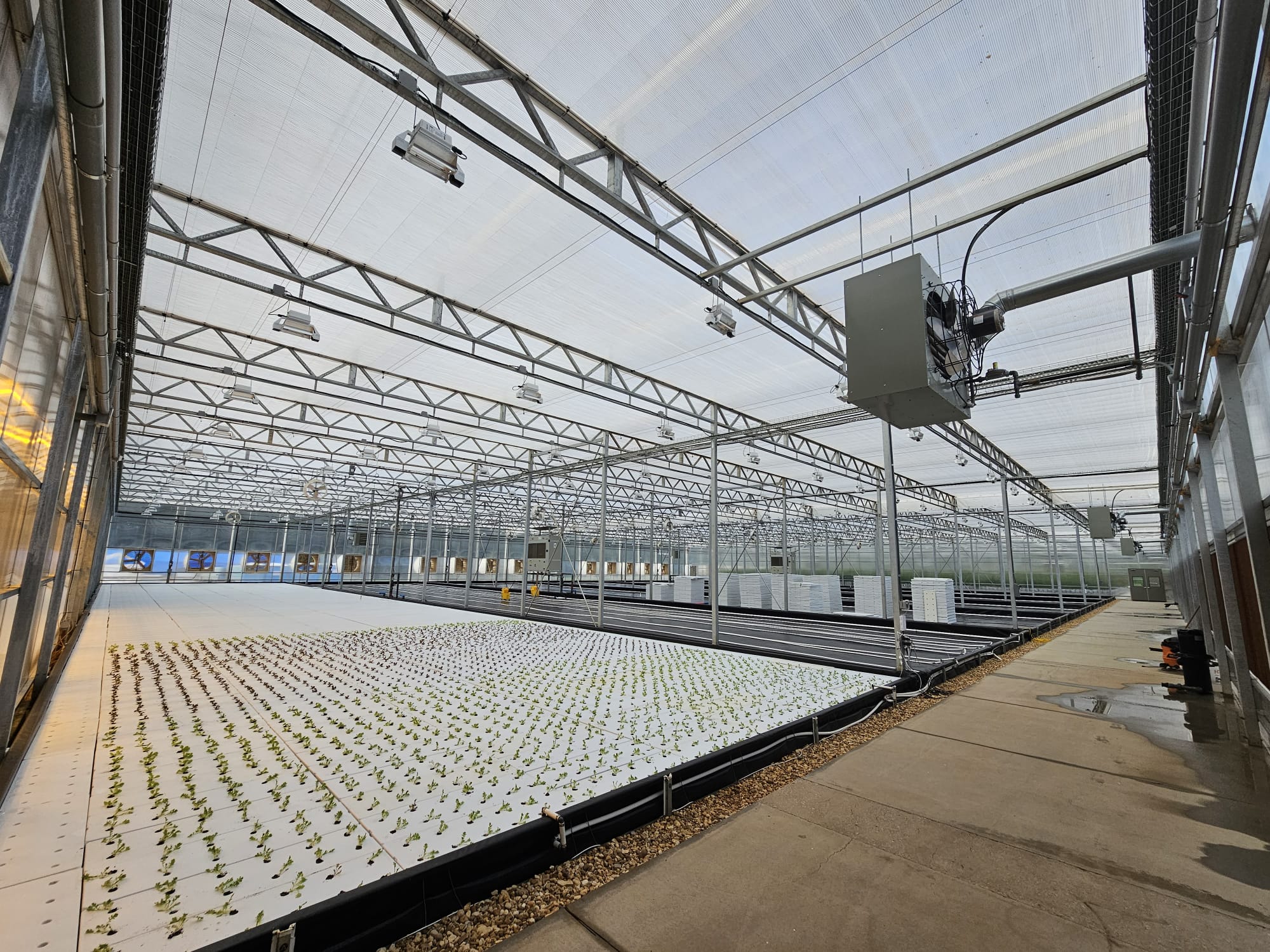 Only Organics - Preserve Life | Preserve Life