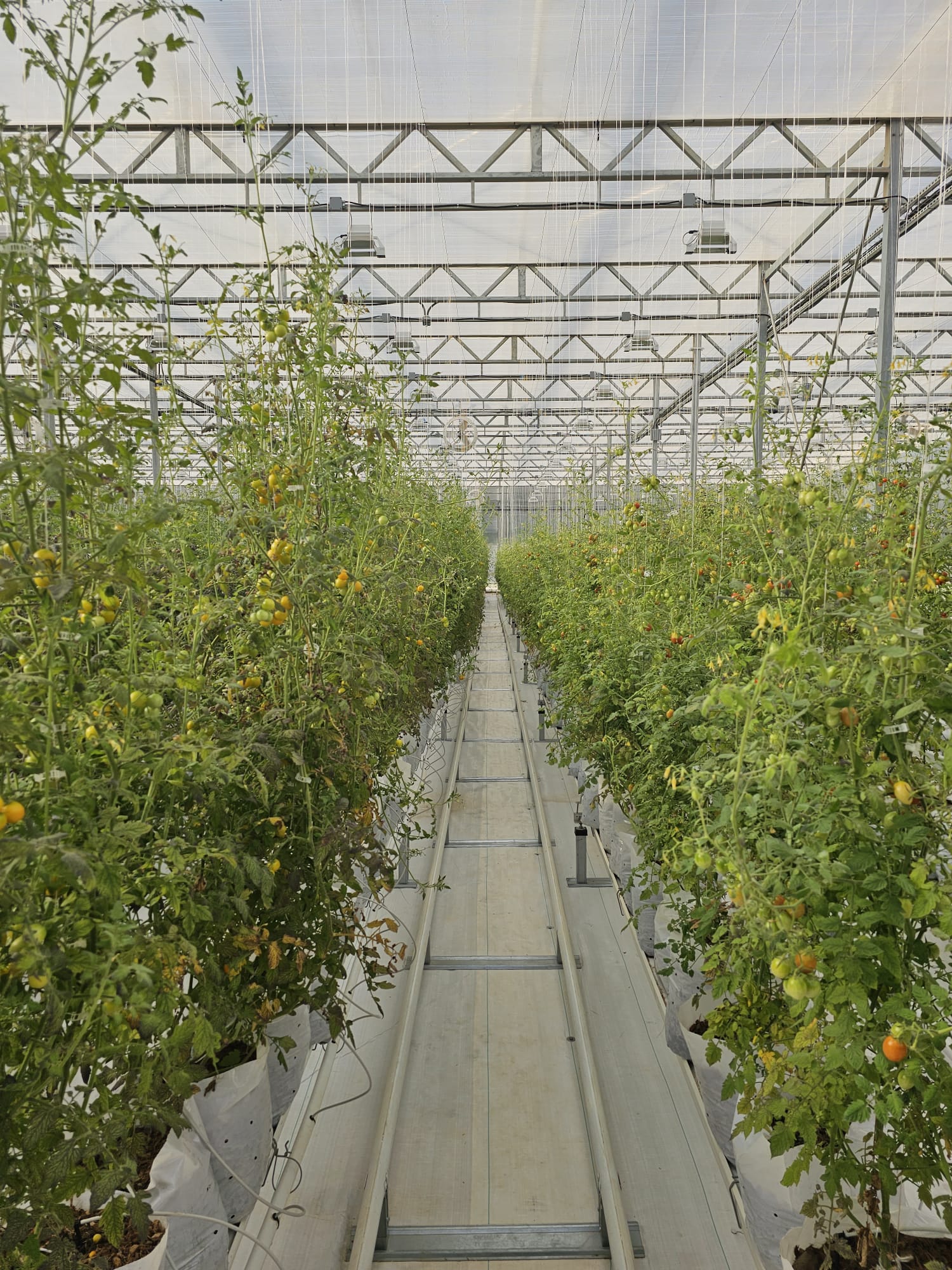 Only Organics - Preserve Life | Preserve Life